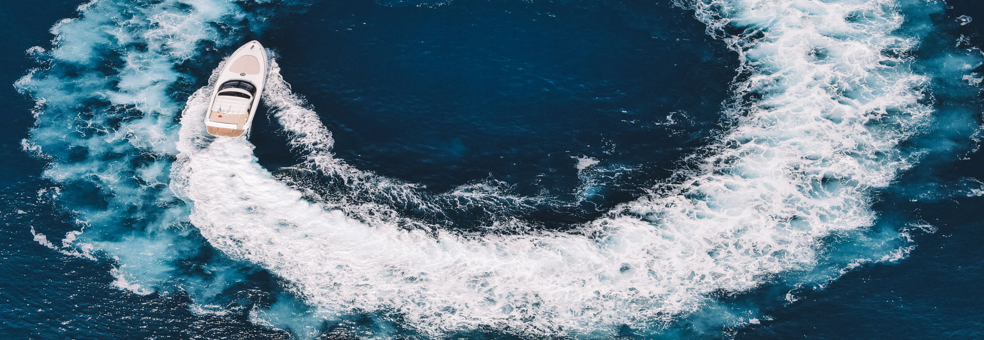 The Best Fishing Charter, Dolphin Tours, Scalloping, & Cedar Key ...